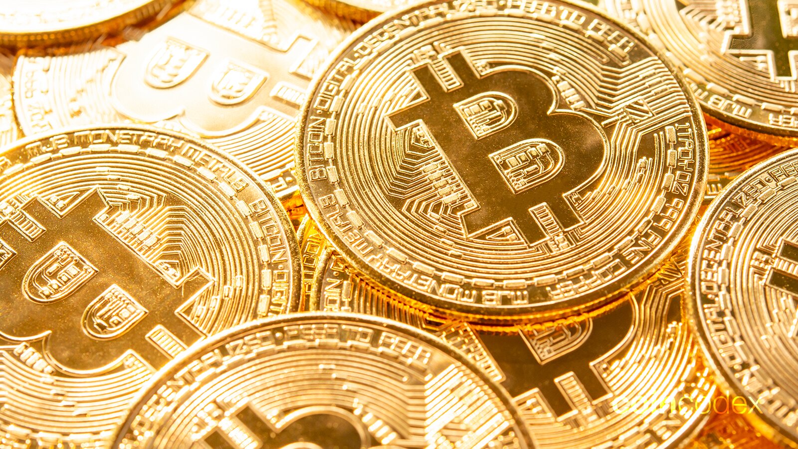 What Is A Physical Bitcoin Is It Worth Anything CoinCodex What Is A Physical Bitcoin Is It Worth Anything CoinCodex